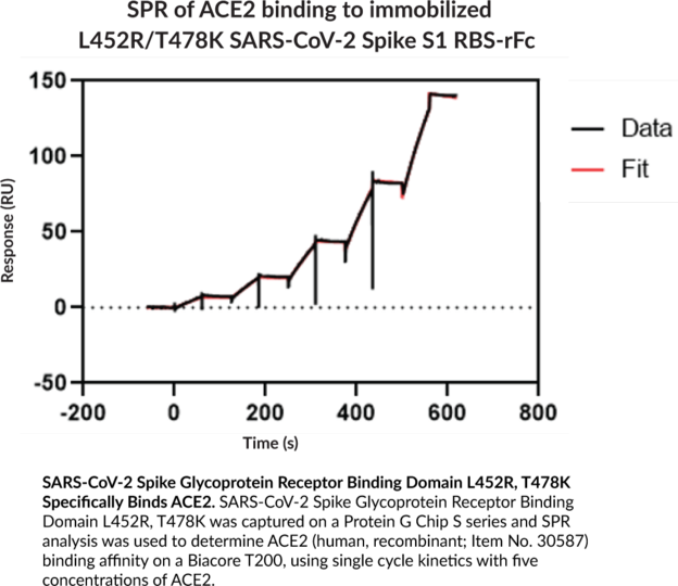 SARS-CoV-2 Spike Glycoprotein Receptor Binding Domain L452R, T478K ...
