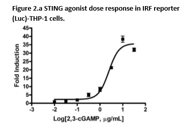 IRF Reporter (Luc) - THP-1 Cell line | BPS Bioscience | Biomol.com