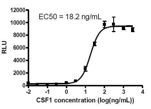CSF1R / SRE - Reporter HEK293 Recombinant Cell Line | BPS Bioscience ...