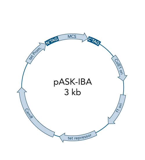 pASK-IBA5C vector | IBA Lifesciences | Biomol.com