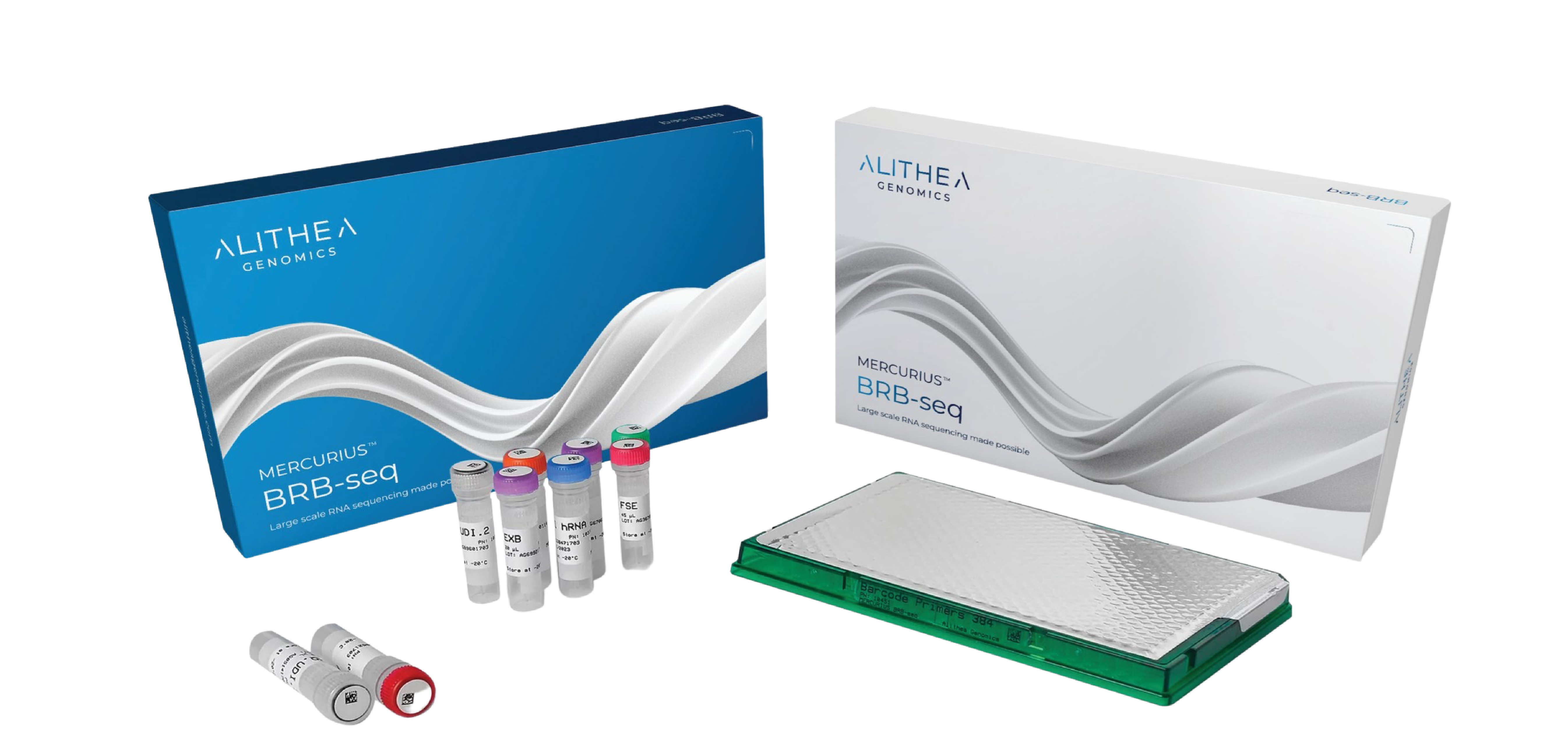 MERCURIUS(TM) High Sensitivity BRB-seq (384 reactions) | Alithea Genomics | Biomol.com
