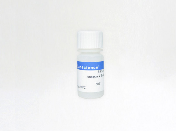 Annexin V Binding Buffer(10 ×) | Elabscience | Biomol.com