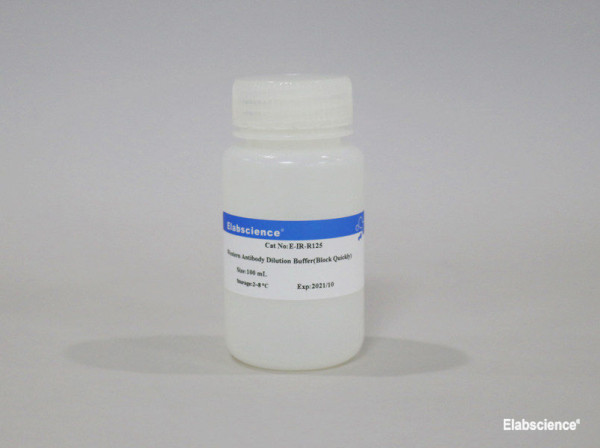 Western Antibody Dilution Buffer (Block Quickly) | Elabscience | Biomol.de