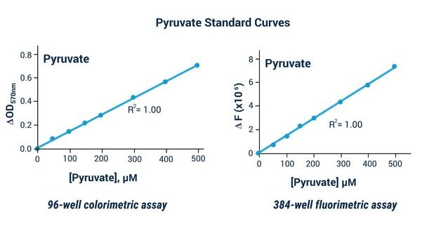 Pyruvate Assay Kit (Colorimetric or Fluorometric) | Assay Genie | Biomol.de
