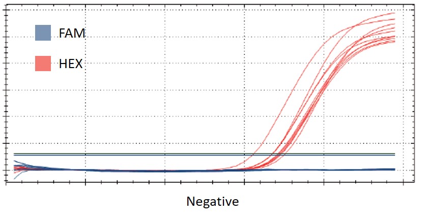 Mycoplasma DNA Detection Kit | Arigo Biolaboratories | Biomol.de