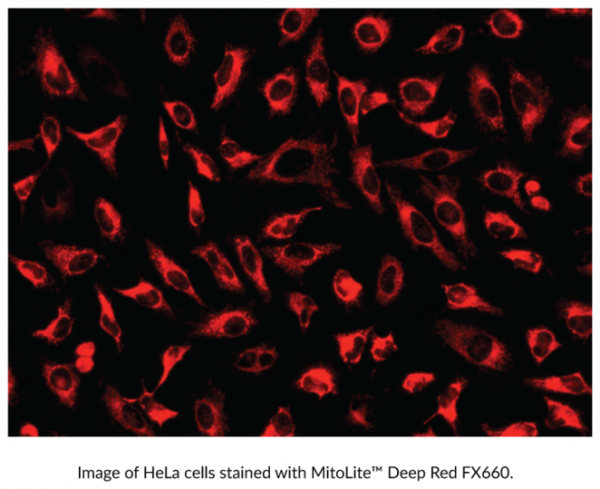 MitoLite(TM) Deep Red FX660 | Cayman Chemical | Biomol.com