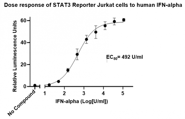 STAT3 Reporter Jurkat Cell Line | BPS Bioscience | Biomol.com