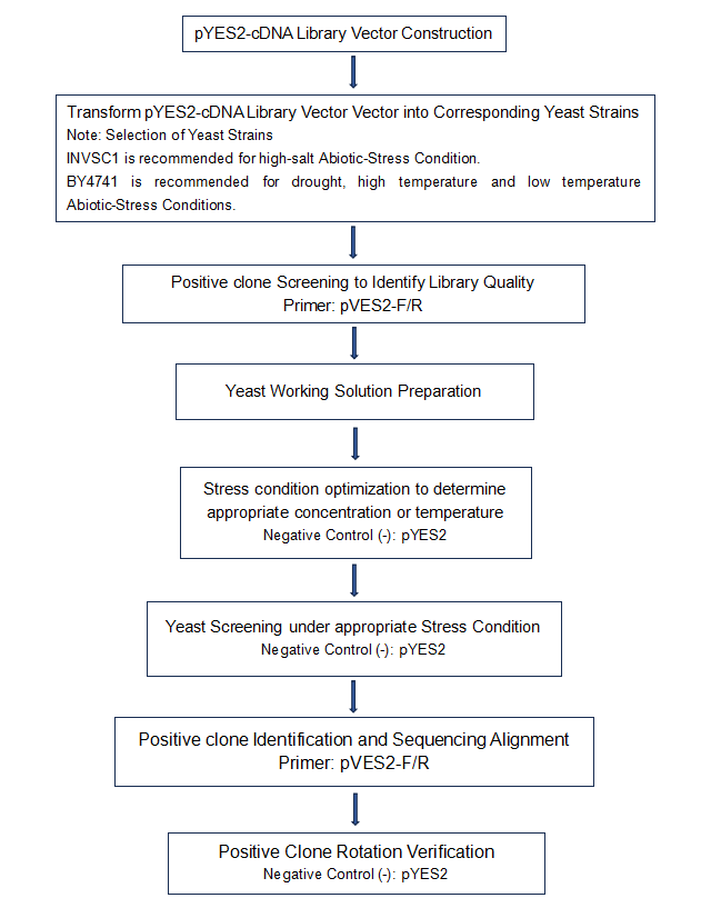 Yeast Abiotic-Stress Resistance Gene Screening Vector Kit | ProNet ...