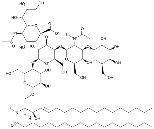 Ganglioside Structure