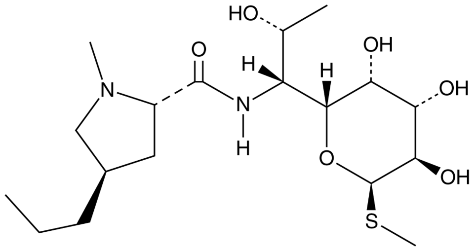 Lincomycin | CAS 154-21-2 | Cayman Chemical | Biomol.com