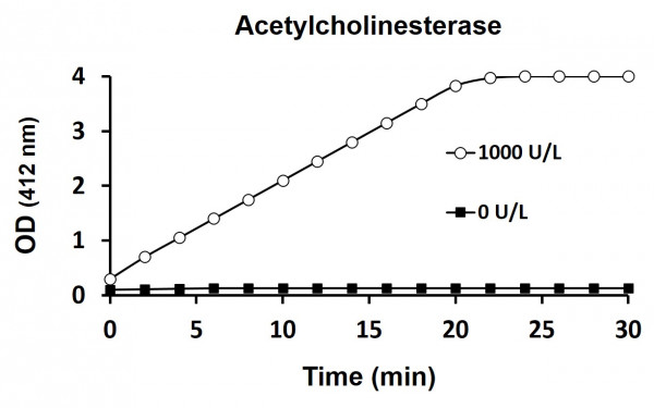 Acetylcholinesterase Activity Assay Kit (Colorimetric) | Arigo ...