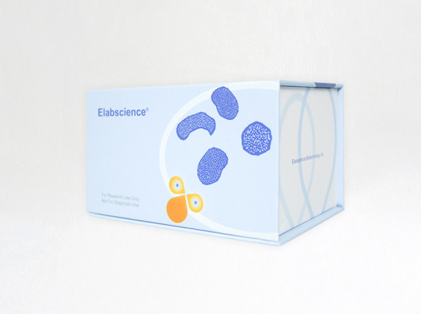 Annexin V-FITC/7-AAD Apoptosis Kit | Elabscience | Biomol.com