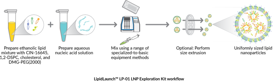 LipidLaunch(TM) LP-01 LNP Exploration Kit | Cayman Chemical | Biomol.com