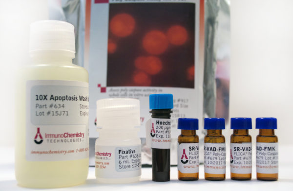 Red FLICA(TM) Poly Caspases Assay Kit | ImmunoChemistry Technologies ...