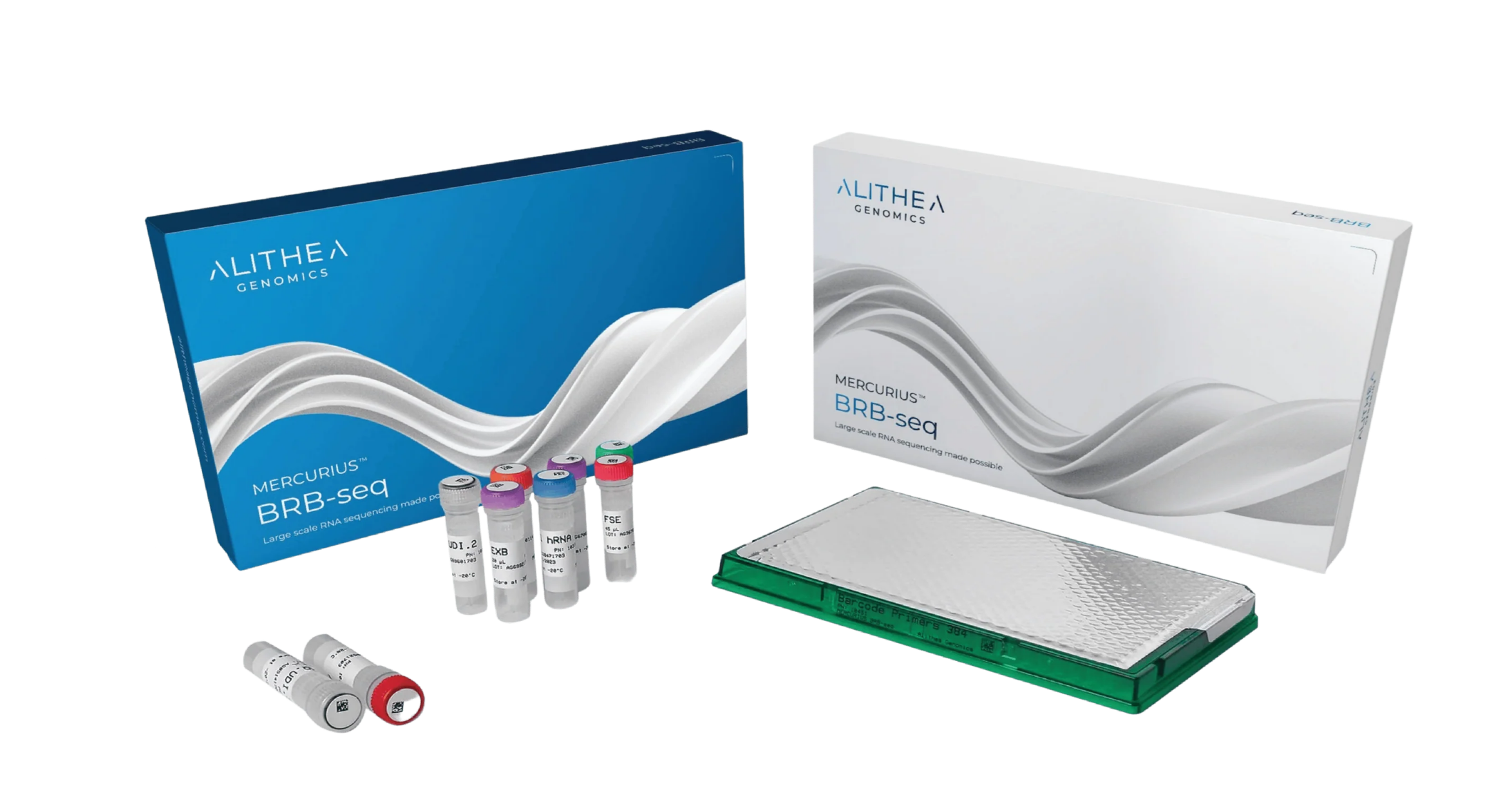 MERCURIUS(TM) High Sensitivity BRB-seq (384x4 reactions) | Alithea ...