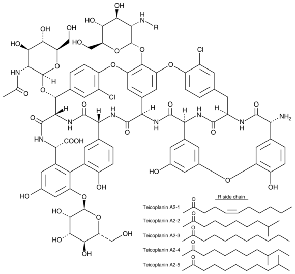 Teicoplanin Complex | CAS 61036-62-2 | Cayman Chemical | Biomol.com
