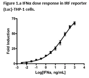 IRF Reporter (Luc) - THP-1 Cell line | BPS Bioscience | Biomol.com