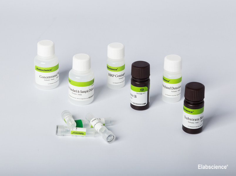 Human HLA-B27 (Human Leukocyte Antigen B27) CLIA Kit | Elabscience ...