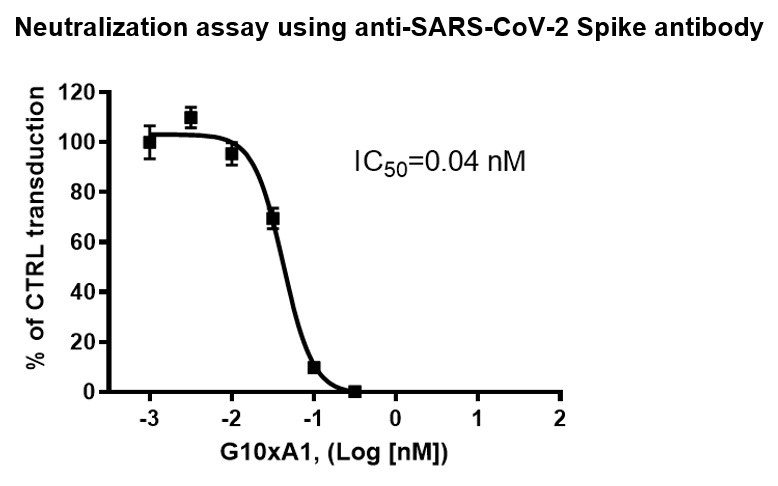 Spike (D614G) (SARS-CoV-2) Pseudotyped VSV Delta G (Luciferase Reporter ...