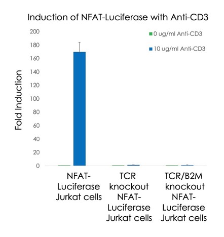 TCR/B2M Knockout NFAT Luciferase Reporter Jurkat Cell Line | BPS Bioscience | Biomol.de