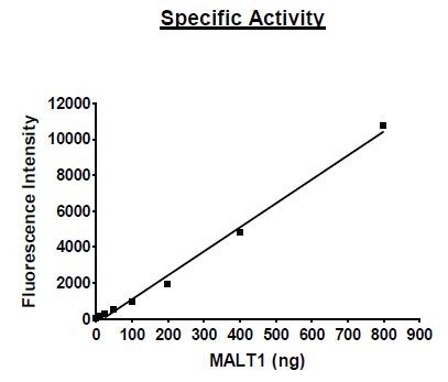 MALT1, FLAG-Tag (Human) | BPS Bioscience | Biomol.com