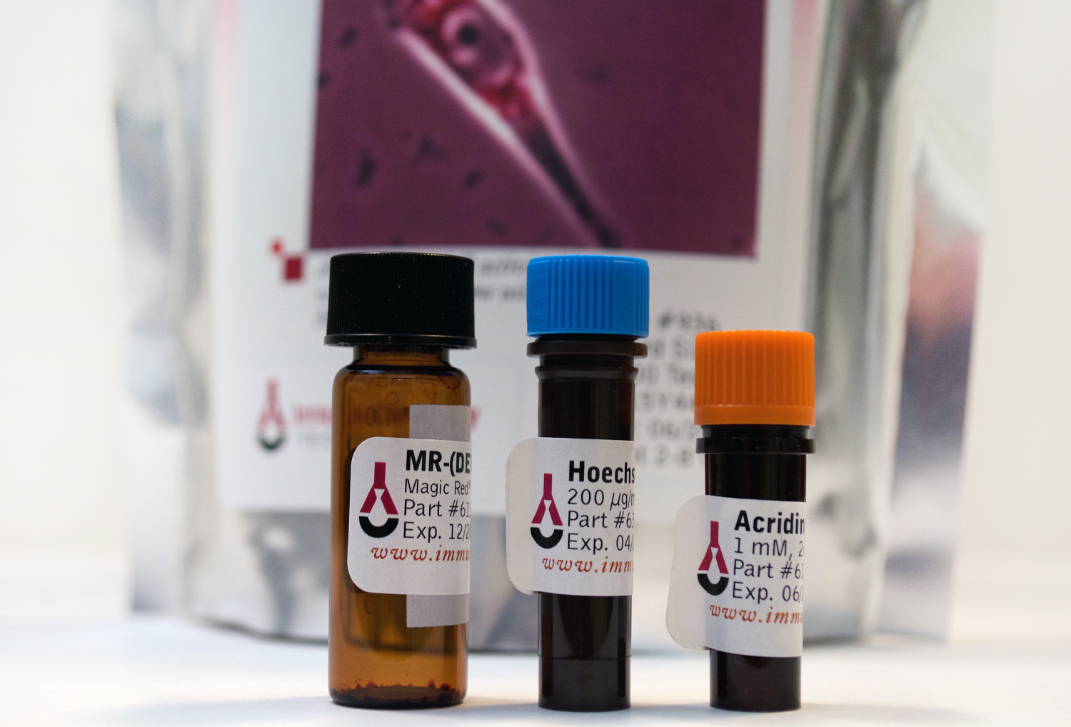 Magic Red(TM) Caspases 3 & 7 Assay Kit | ImmunoChemistry Technologies ...
