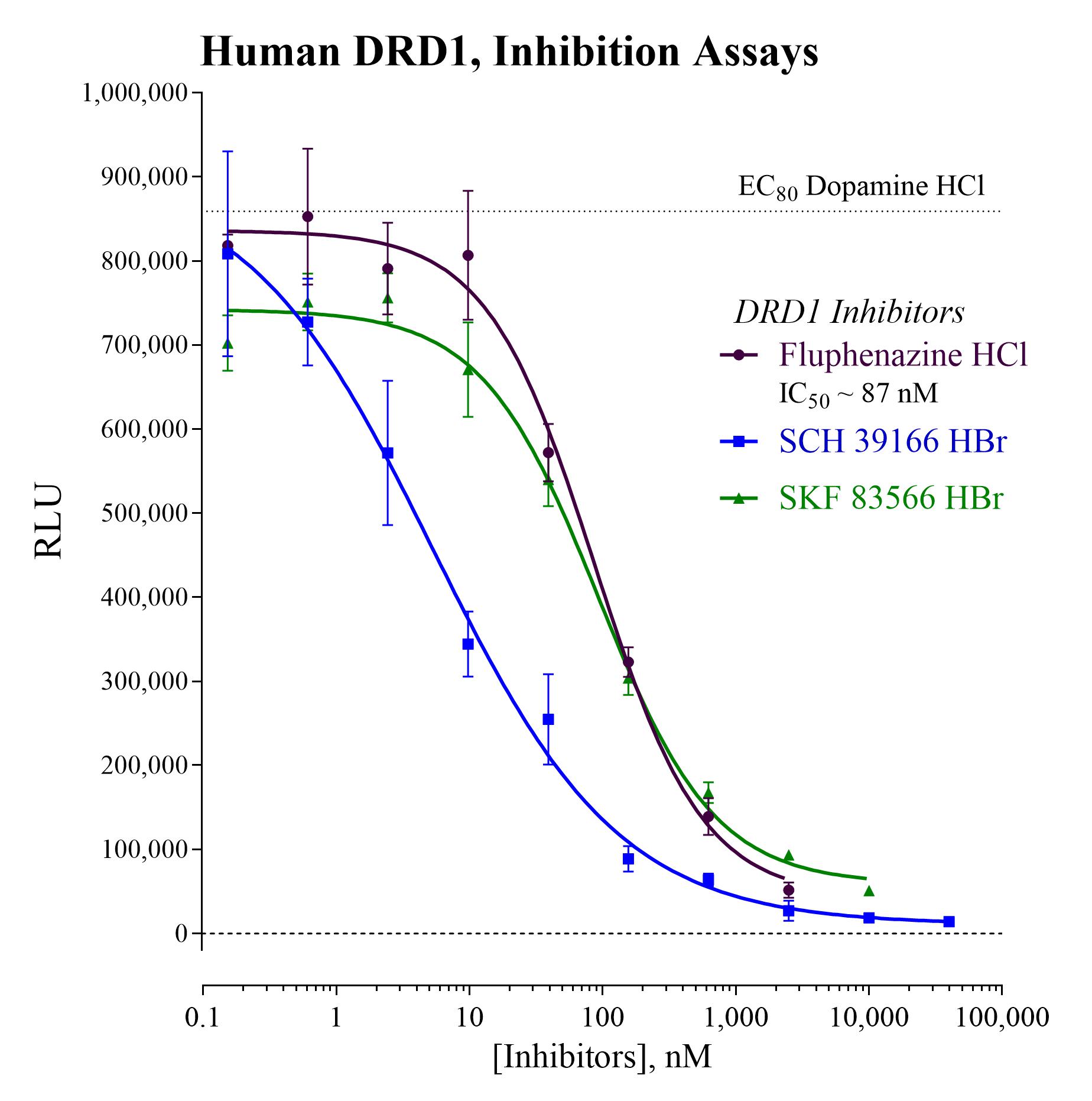 DRD1 Reporter Assay System (human) | Indigo Biosciences | Biomol.com