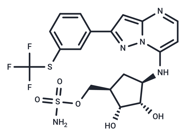 TAK-243 | CAS 1450833-55-2 | TargetMol | Biomol.com