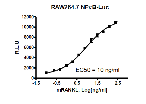 NF-kappaB Luciferase Reporter Raw 264.7 Cell Line | BPS Bioscience ...