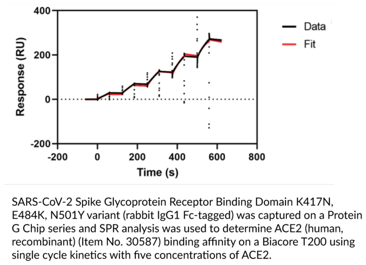 SARS-CoV-2 Spike Glycoprotein Receptor Binding Domain K417N, E484K, N501Y variant (rabbit IgG1 ...