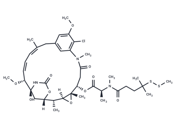 DM4-SMe | CAS 796073-68-2 | TargetMol | Biomol.com