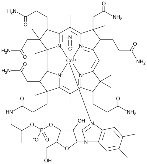 Vitamin B12 Structure