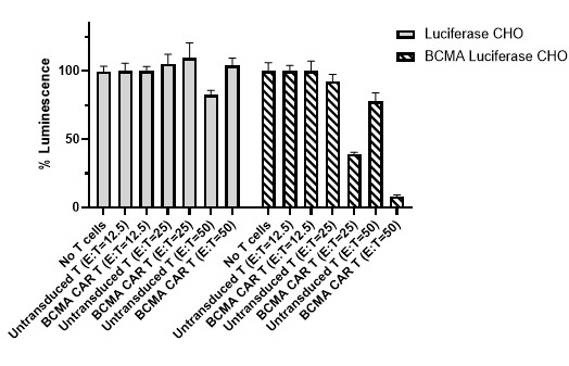 Anti-BCMA CAR-T Cells | BPS Bioscience | Biomol.com