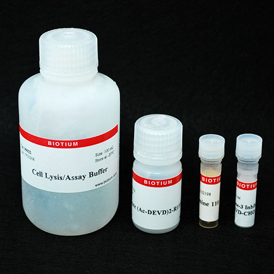 Caspase-3 DEVD-R110 Fluorometric HTS Assay Kit | Biotium | Biomol.com