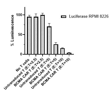 Anti-BCMA CAR-T Cells | BPS Bioscience | Biomol.com