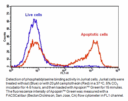 Cell Meter(TM) Phosphatidylserine Apoptosis Assay Kit *Optimized Green ...