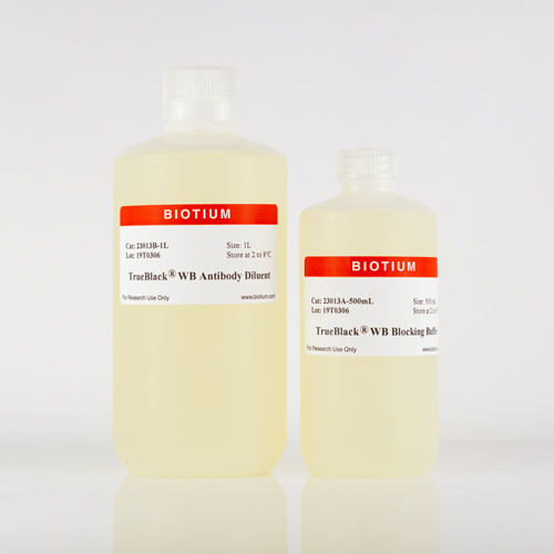 TrueBlack(R) WB Blocking Buffer | Biotium | Biomol.com