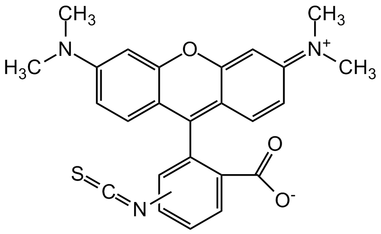 TRITC | CAS 95197-95-8 | Chemodex | Biomol.de