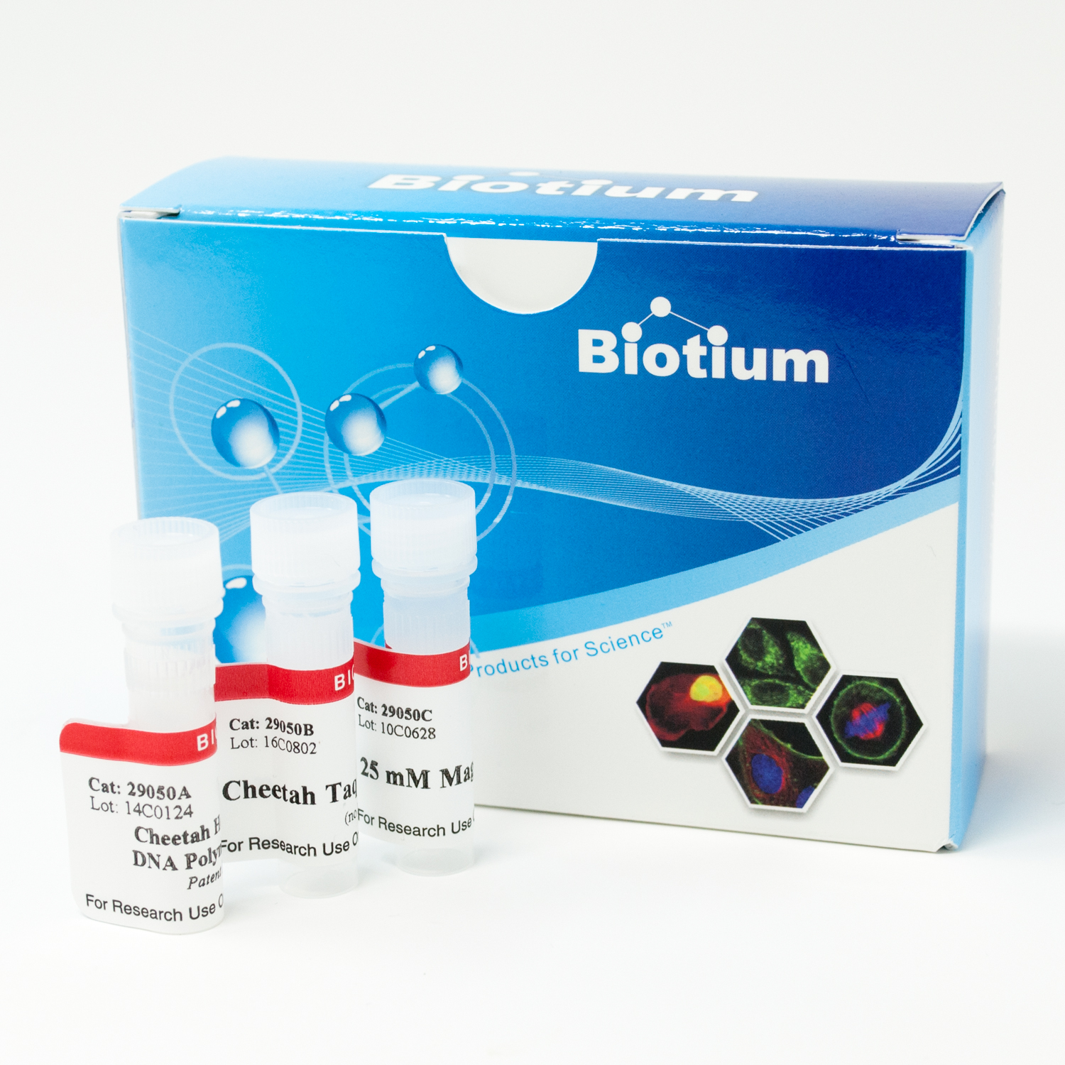 Cheetah(TM) Hot Start Taq DNA Polymerase | Biotium | Biomol.de