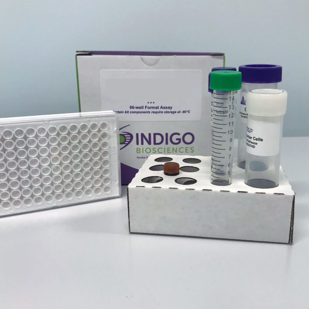 NF-kappaB (Human) Reporter Assay System | Indigo Biosciences | Biomol.com