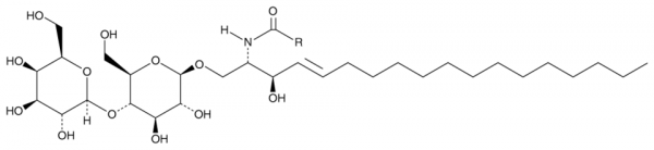 Lactosylceramide (bovine buttermilk) | CAS 4682-48-8 | Cayman Chemical ...