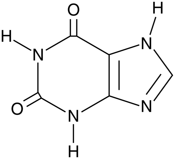 Xanthine | CAS 69-89-6 | Cayman Chemical | Biomol.com