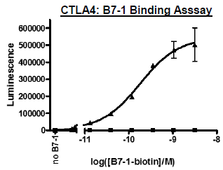 B7-1 (CD80), Fc fusion, Biotin-labeled (Human) HiP(TM) | BPS Bioscience ...
