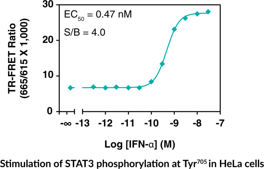 STAT3 (Phospho-Tyr705) TR-FRET Assay Kit | Cayman Chemical | Biomol.com