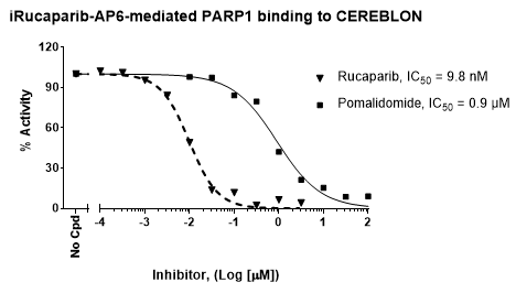 PROTAC(R) Optimization Kit for PARP1-Cereblon Binding | BPS Bioscience | Biomol.com