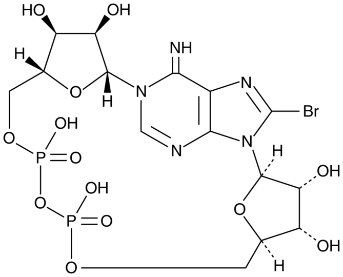 8-bromo-Cyclic ADP-Ribose (sodium salt) | CAS 151898-26-9 | Cayman ...