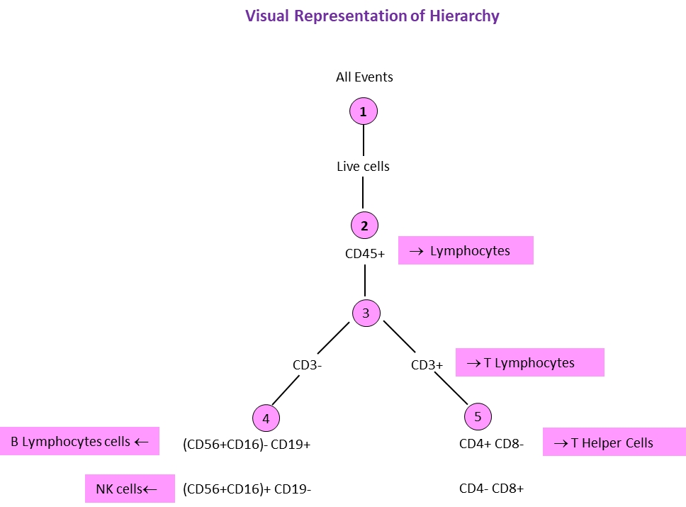 ReadiUse(TM) 6-Color Human TBNK Kit *Dry Reagent Format* | AAT Bioquest ...