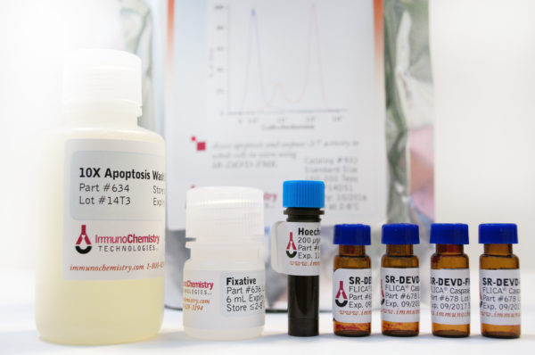 SR-FLICA(TM) Caspases-3/7 Assay Kit | ImmunoChemistry Technologies ...