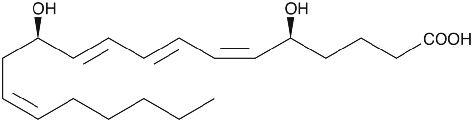 Leukotriene B4 | CAS 71160-24-2 | Cayman Chemical | Biomol.com