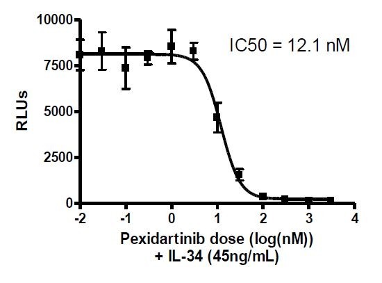 CSF1R / SRE - Reporter HEK293 Recombinant Cell Line | BPS Bioscience ...
